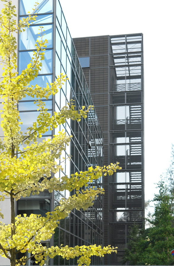 CBS - Copenhagen Business School