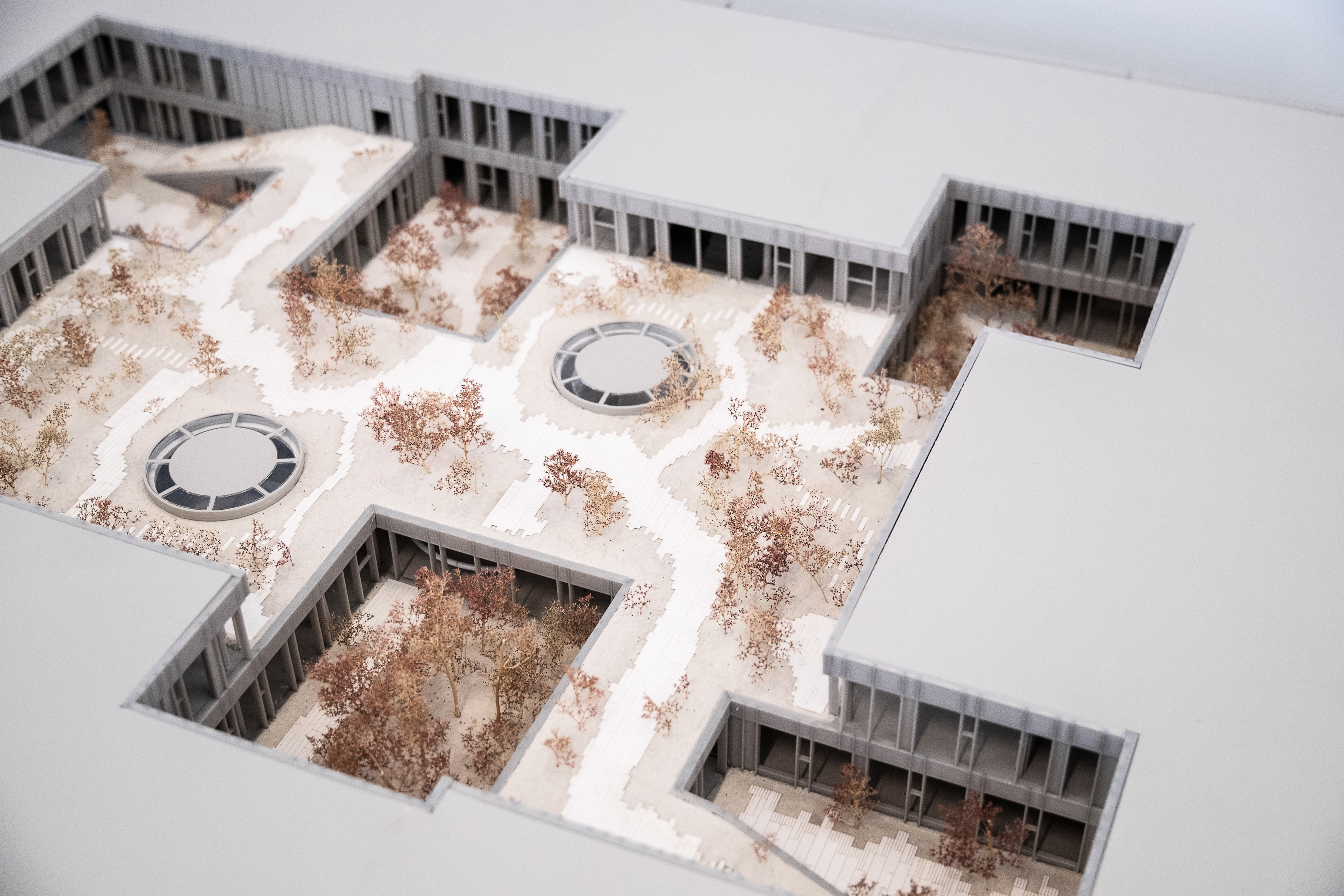 Steno Diabetes Center Copenhagen Model